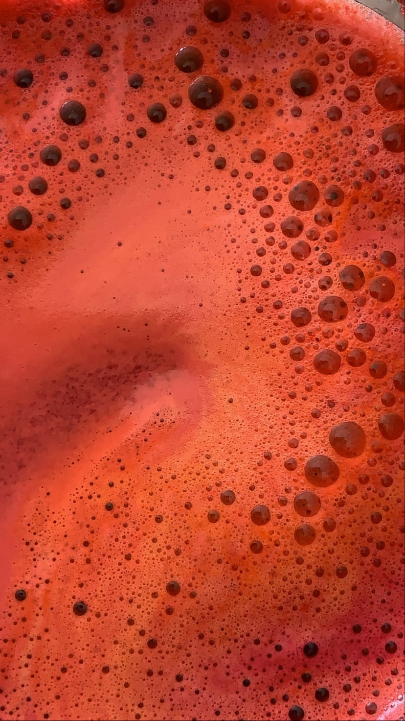 Juice Your Way to Good Health in 2021 – La Vie de Zee